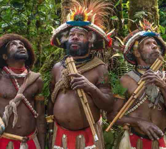 ARTE : programmation spéciale «Journée de la forêt» avec le chef papou ...