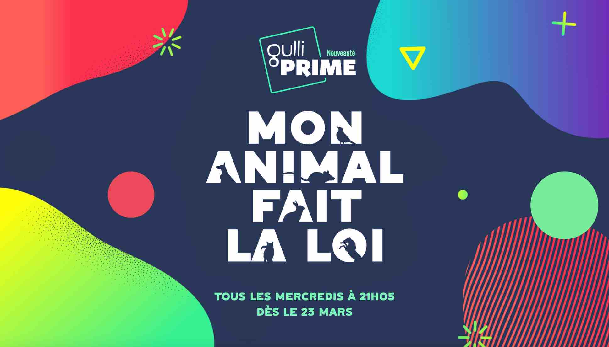 Gulli PRIME : le nouveau divertissement «Mon animal fait la loi» dès le ...